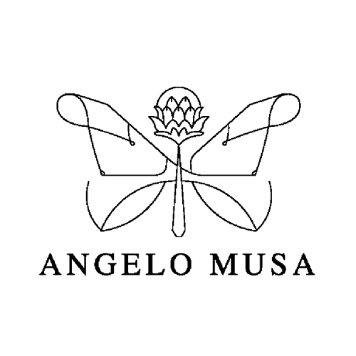 Accueil - Angelo Musa